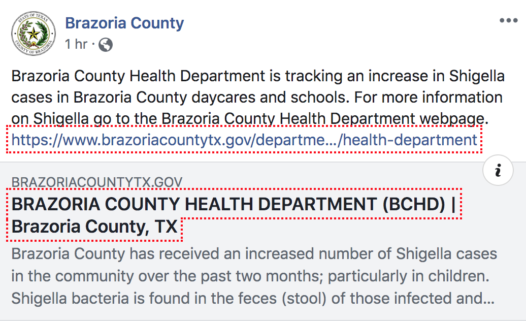 Brazoria County Daycare Shigella Outbreak