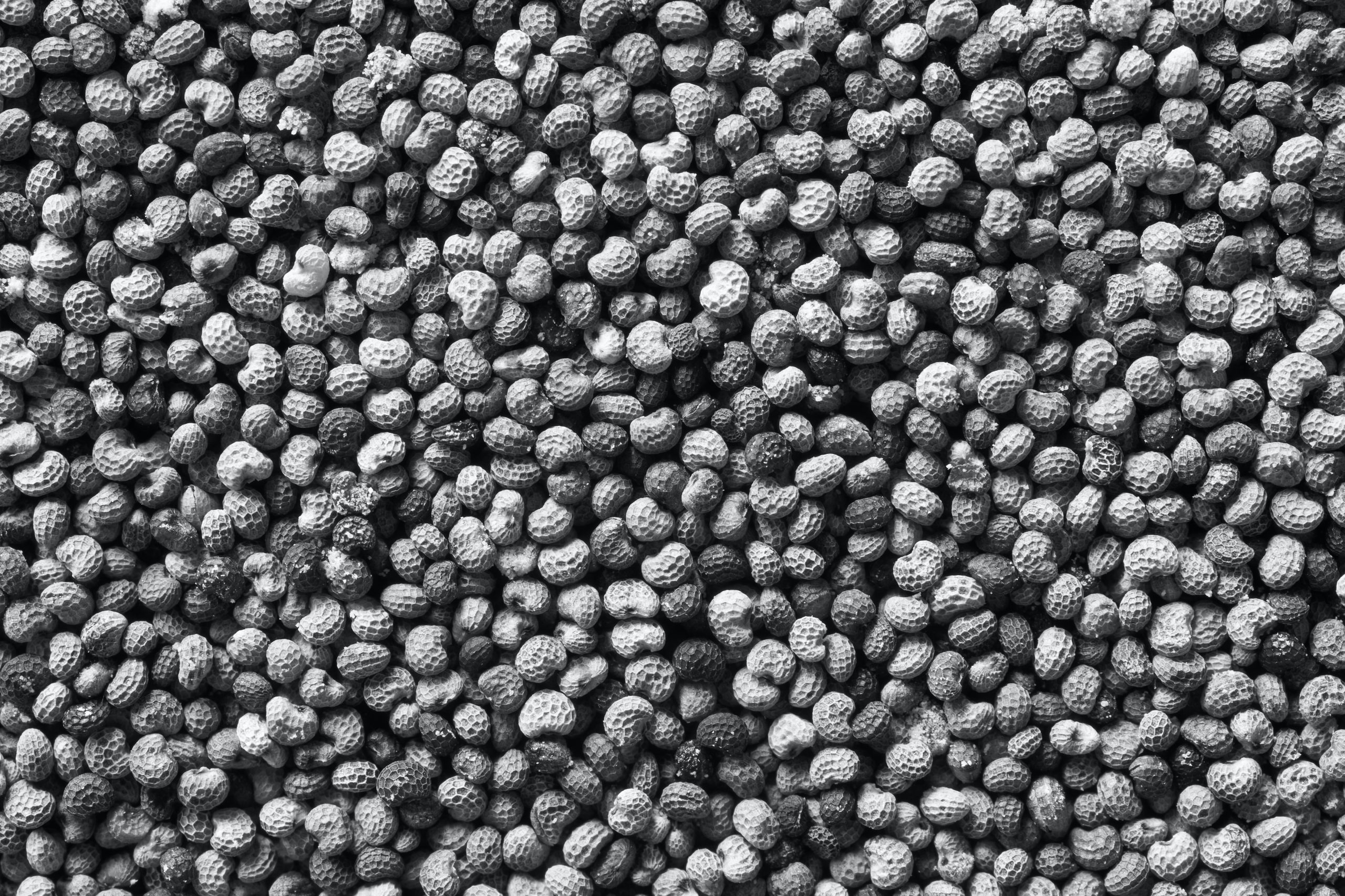 Poppy Seed Death | The Lange Law Firm, PLLC